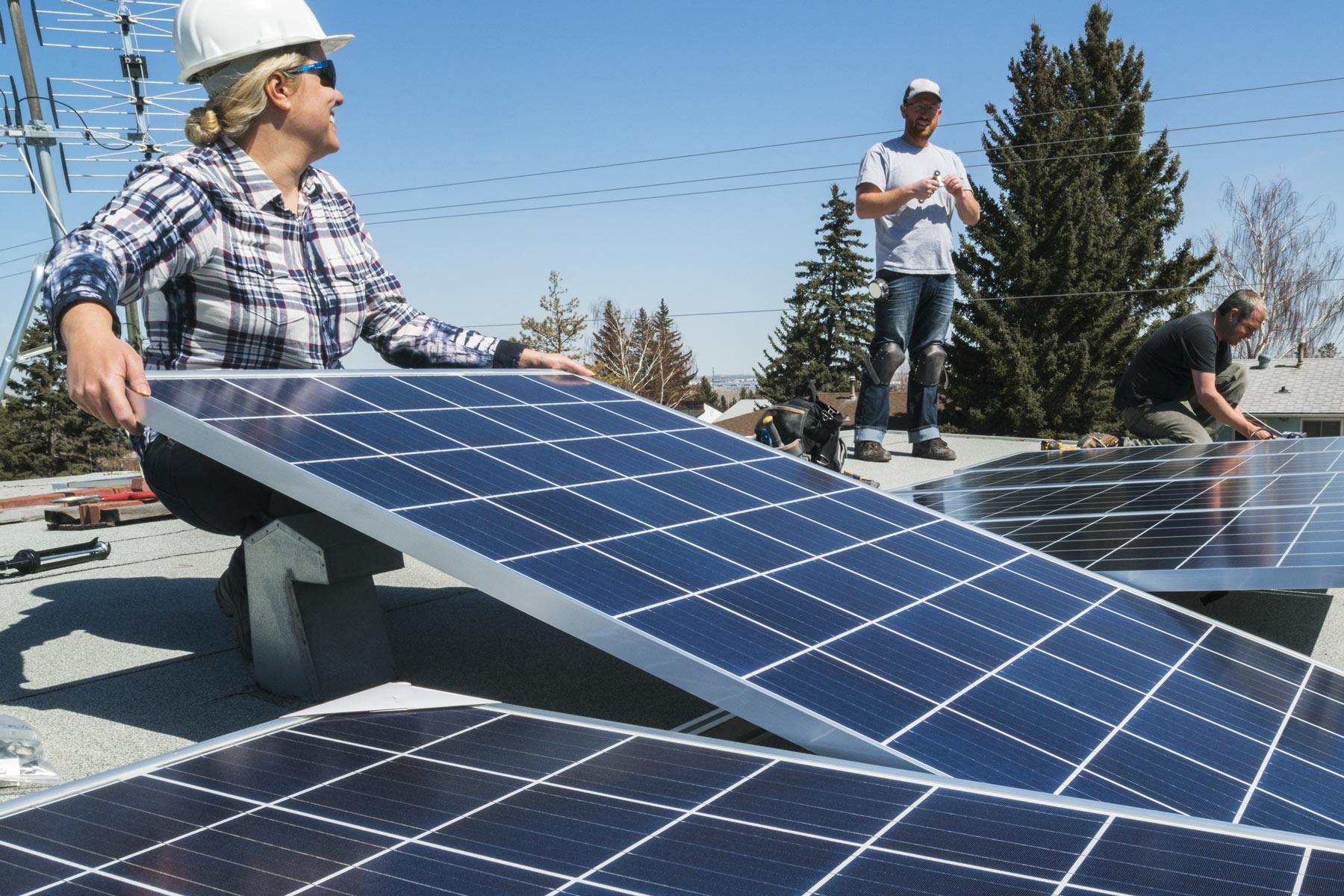 6 Best Residential Solar Panels (2023) – Solartap