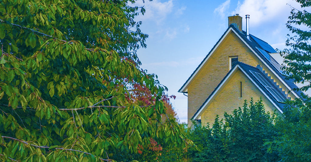 Solartap – Low-Cost Support for Going Solar